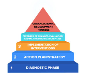What Is Organisational Development? Process, Meaning, Importance ...