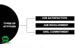 What Is Attitude? Definition, Types, Components, Formation, Functions ...