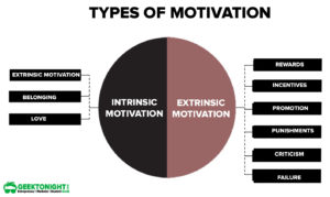 What Is Motivation? Meaning, Definition, Types, Importance, Characteristics