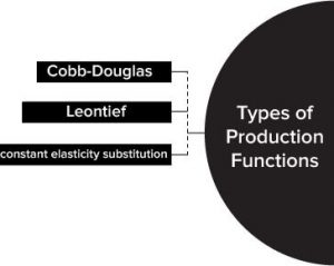 3 Types Of Production Functions: Cobb Douglas, Leontief, CES
