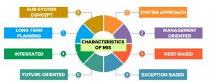 What Is MIS? Characteristics, Objectives, Role, Component