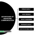 What Is Grapevine Communication? Types, Advantages, Disadvantages