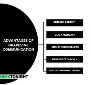 What Is Grapevine Communication? Types, Advantages, Disadvantages