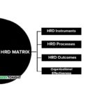 What Is Human Resource Development (HRD)? Definition, Concept ...