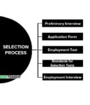 What Is Selection? Process, Types, Steps, Difference