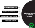 What Is Market Power? Definition, Determinants, Measurement