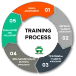 5 Step Of Training Process & Systematic Approach