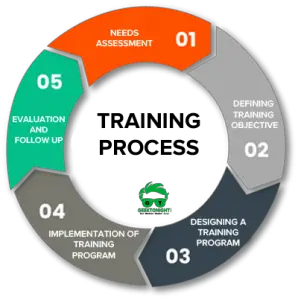 5 Step Of Training Process & Systematic Approach