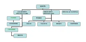 What Is Soup? Composition, Classification | Hotel Management