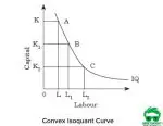 Isoquant Curve: Definition, Properties, Types, Assumptions