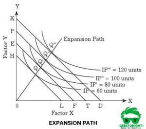 Producer Equilibrium & Expansion Path | Business Economics