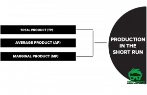 Production In The Short Run | Formula, Example, Types