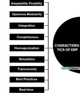 What Is Enterprise Resource Planning (ERP)? Definition, Modules ...