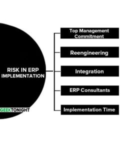 Risk In ERP Implementation, Cross Function, ERP Technology.
