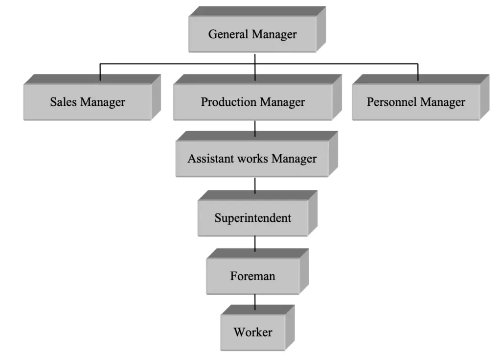 What Is Organisation? Definition, Process, Structure, Importance, Types ...