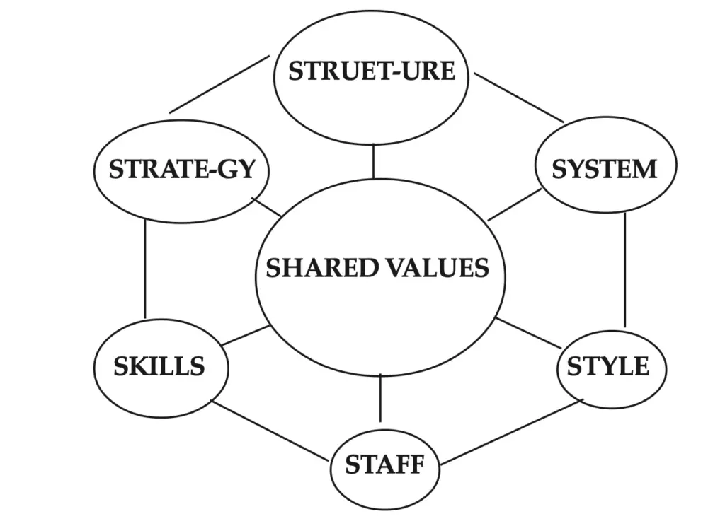 McKinsey 7-S Approach