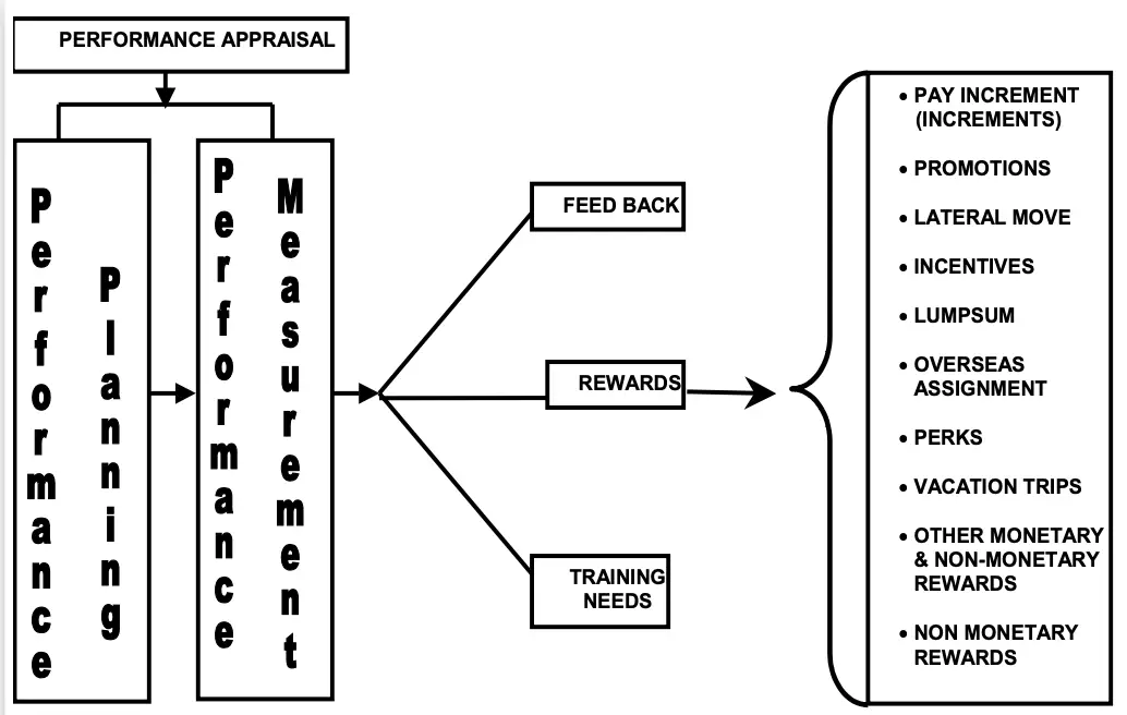 Performance And Rewards